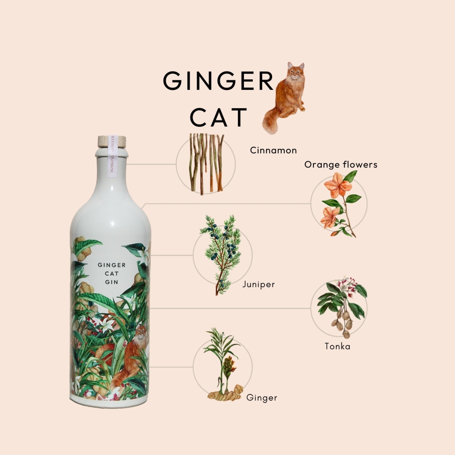 Ginger Cat – Dorking Distillery